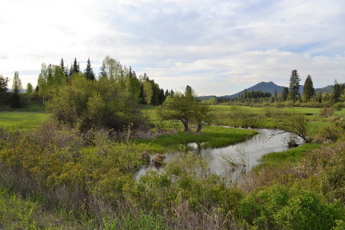 Property pictures of 661 Berry Rd, Usk, WA 99180, USA - Usk, WA real estate